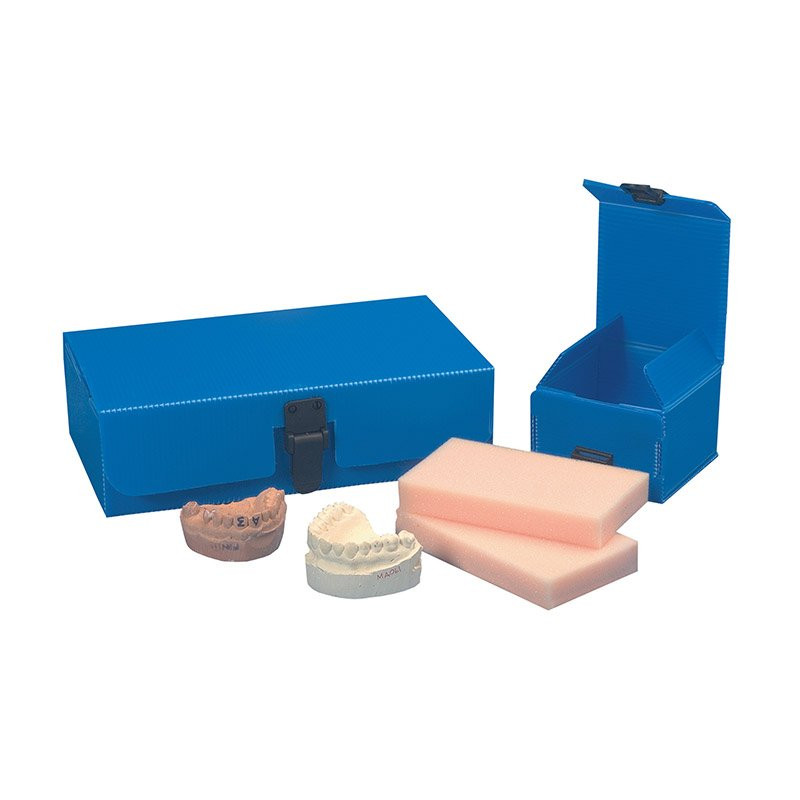 Dispatch container for models G31 - Dentaland