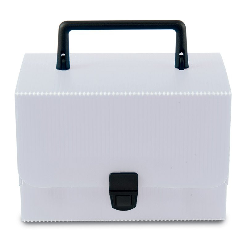 Dispatch container for models G305 - Dentaland