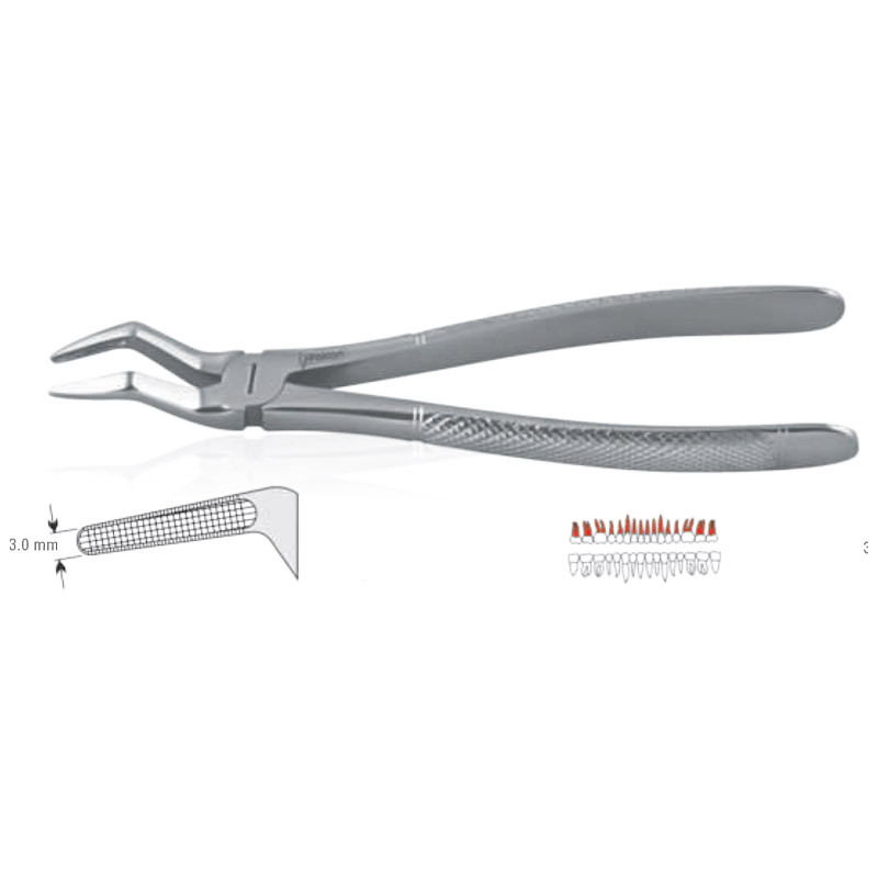 Extracting Forceps N51Α - Dentaland