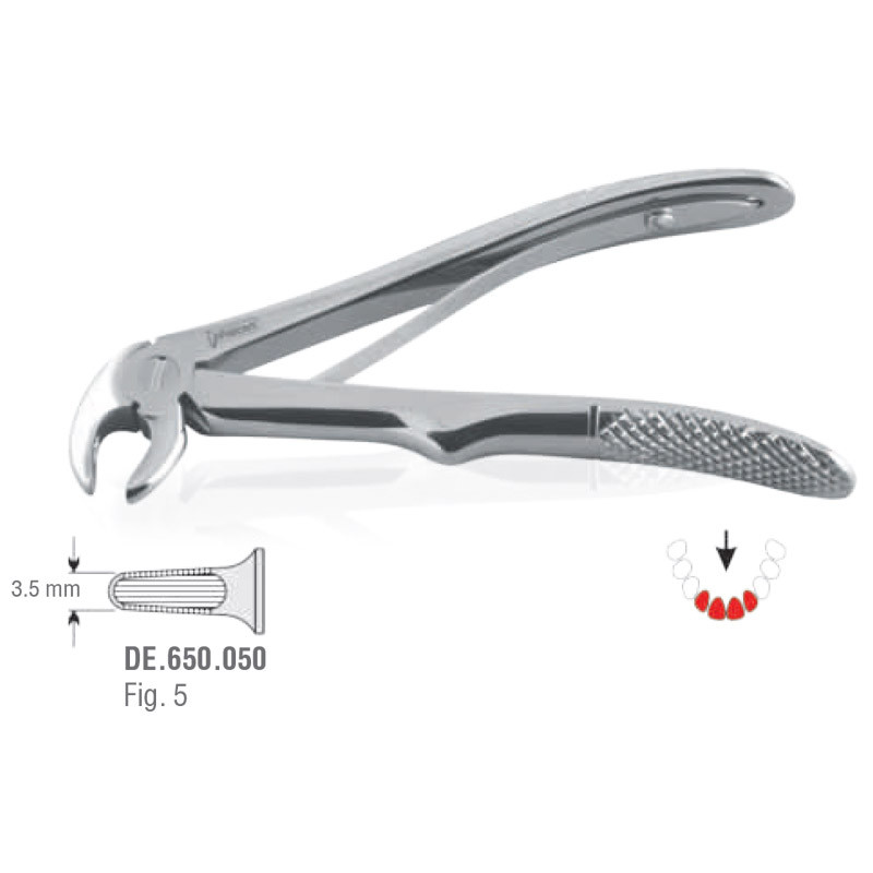 Extraction Forceps N5 - Dentaland
