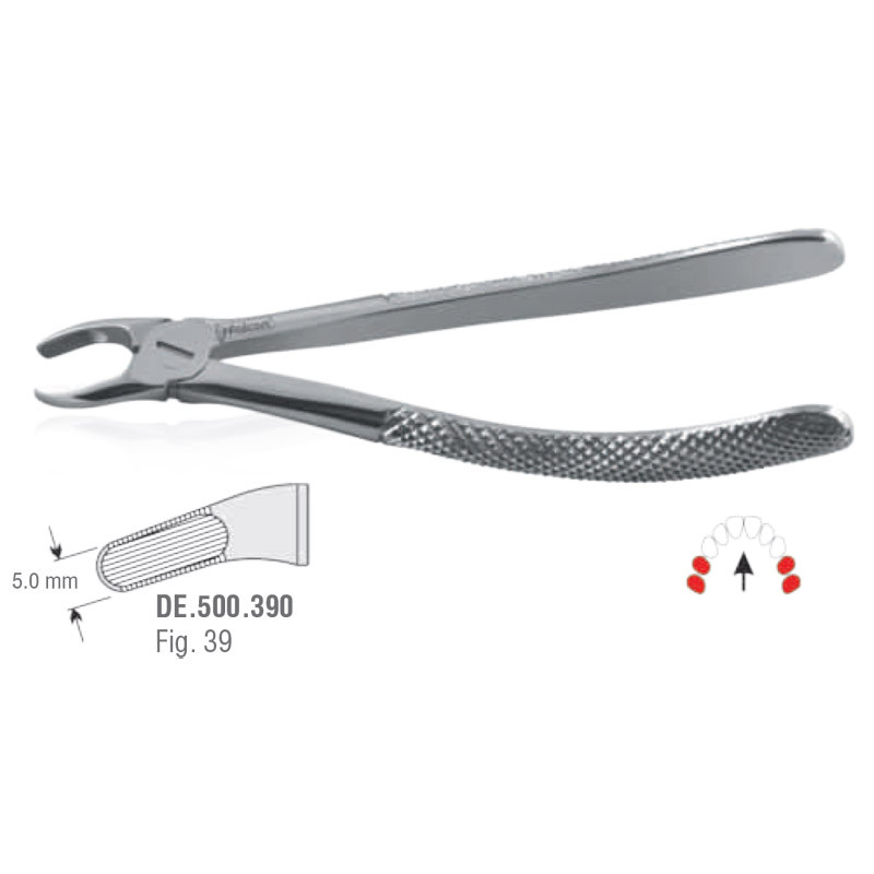 Extraction Forceps N39 - Dentaland
