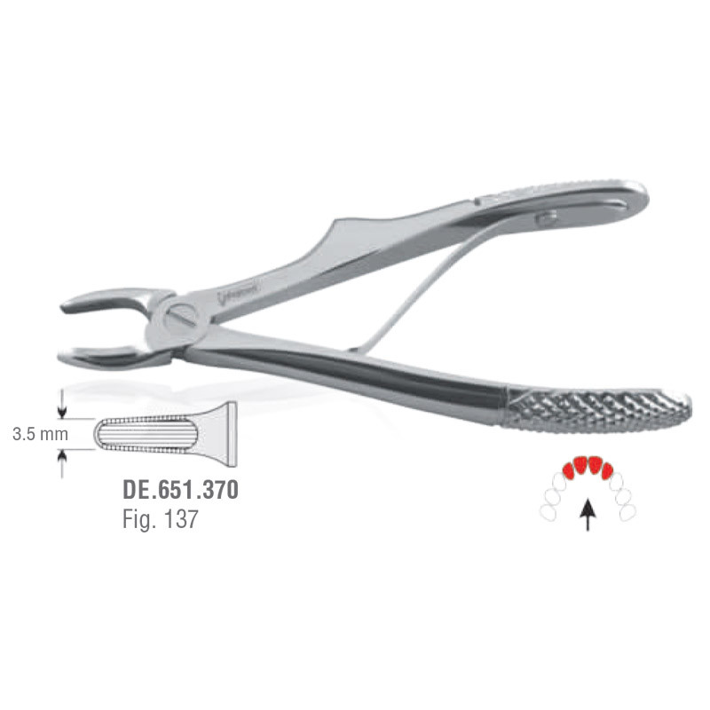 Extraction Forceps N137 - Dentaland