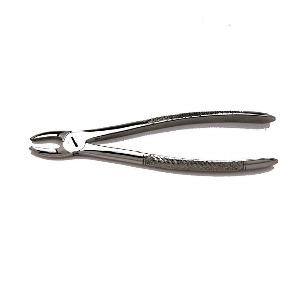 Tooth forcep TD11001 - Dentaland